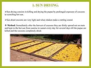 Sericulture - Post Cocoon Technology / Processing of Cocoons | PPTX