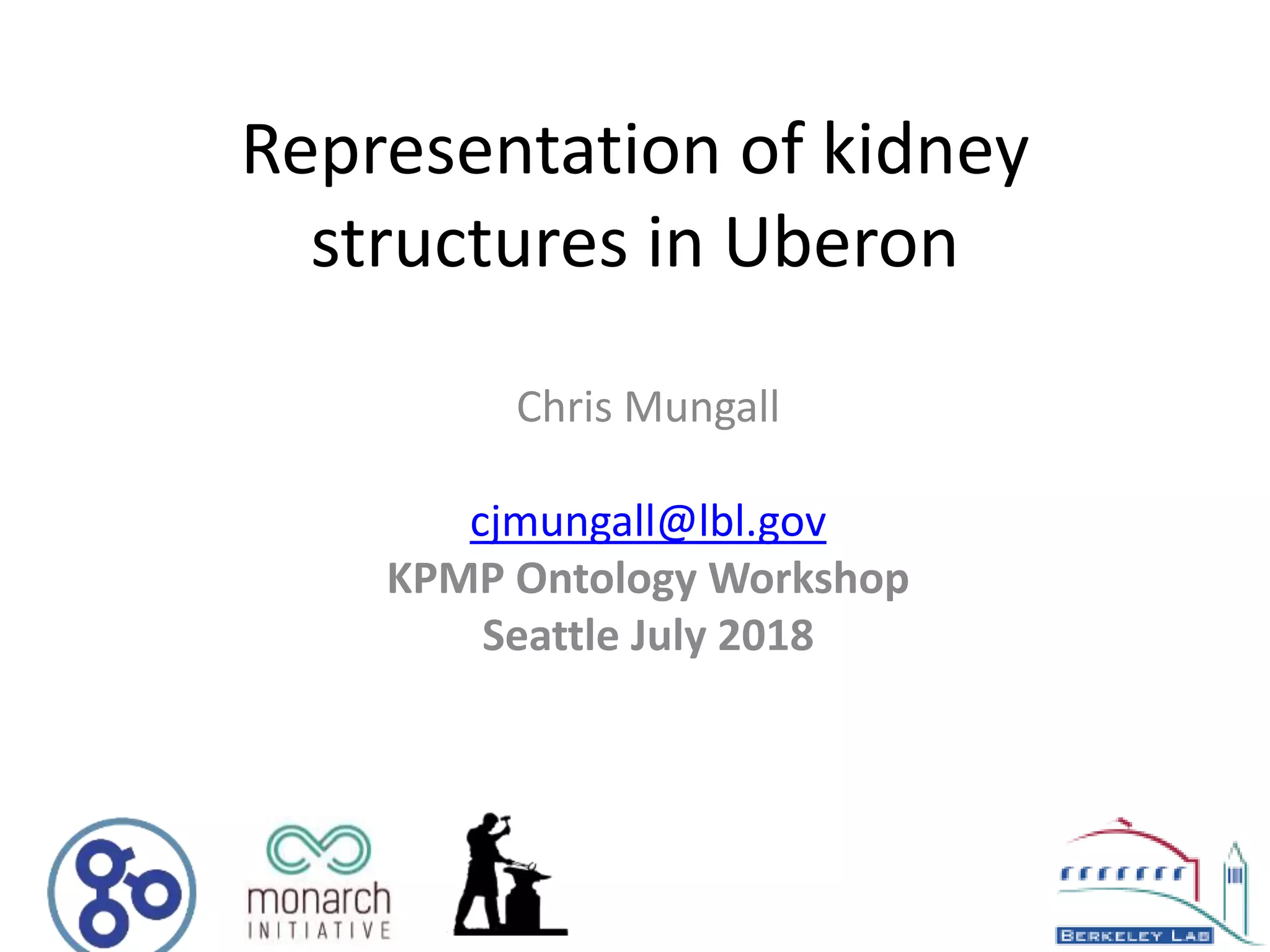 Representation of kidney structures in Uberon | PPT