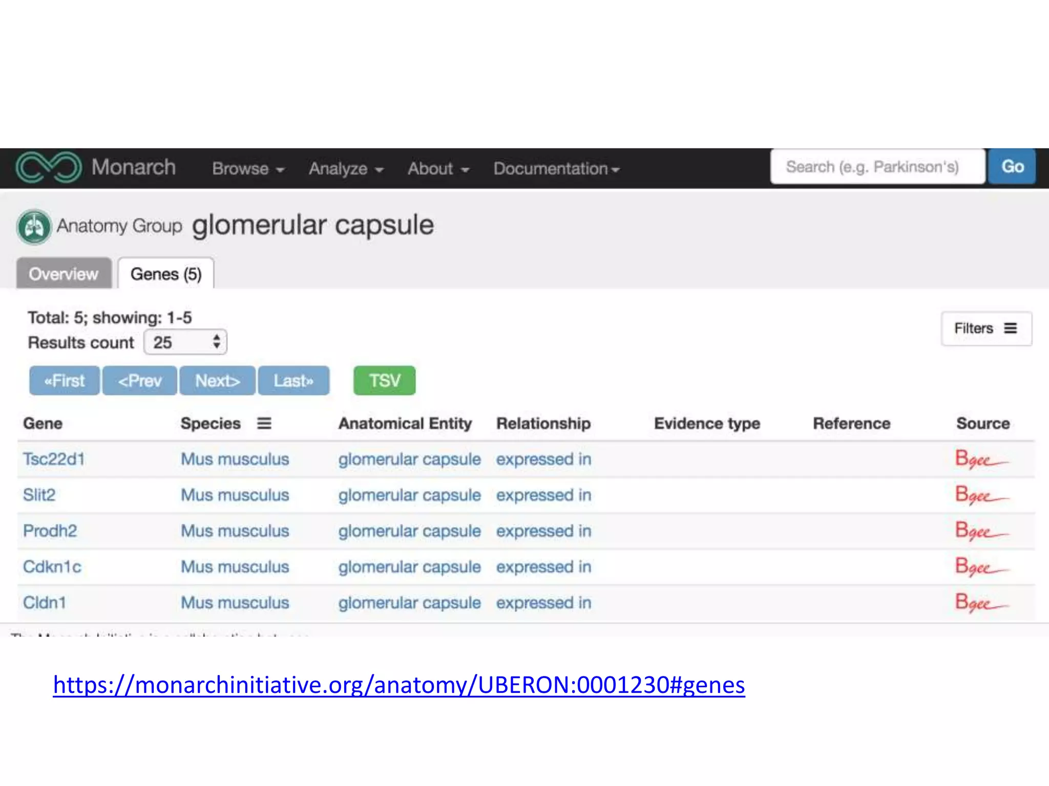 Representation of kidney structures in Uberon | PPT