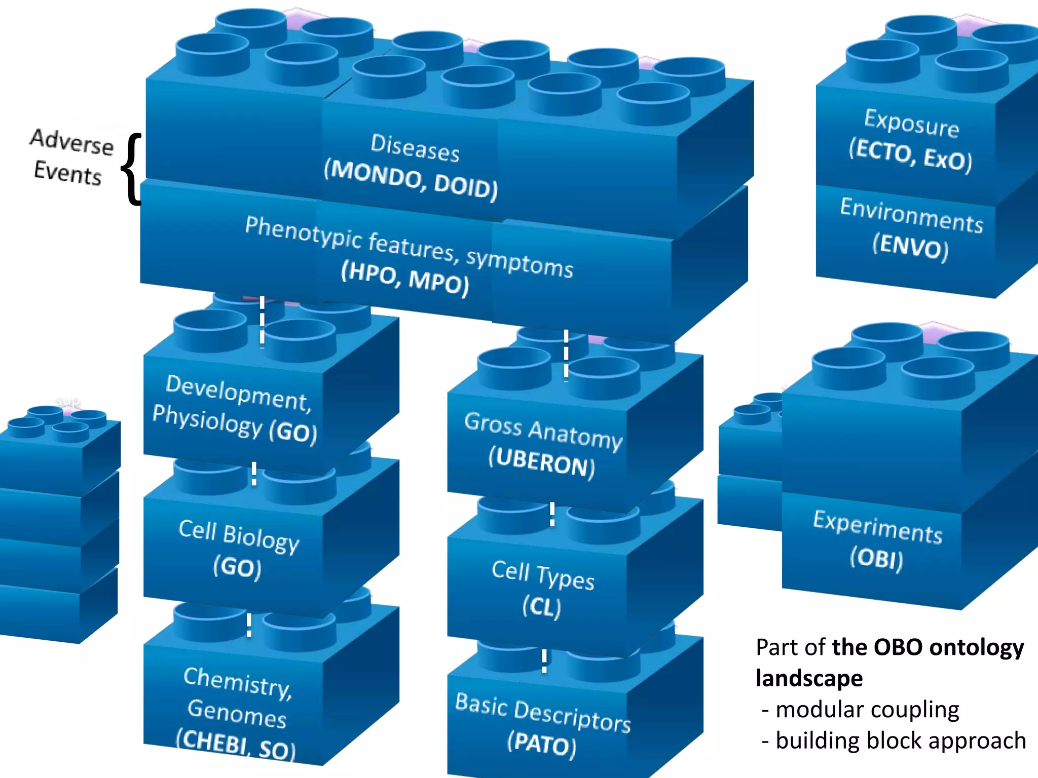 Representation of kidney structures in Uberon | PPT