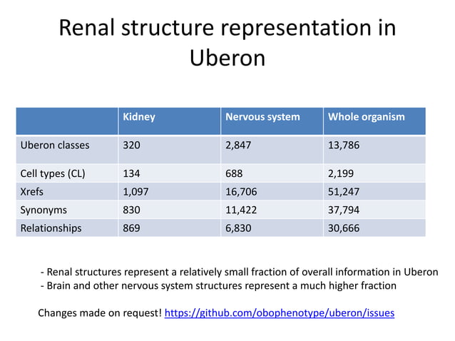 Representation of kidney structures in Uberon | PPT