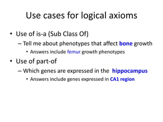 Representation of kidney structures in Uberon | PPT