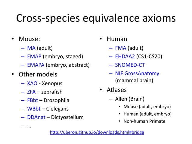 Representation of kidney structures in Uberon | PPT