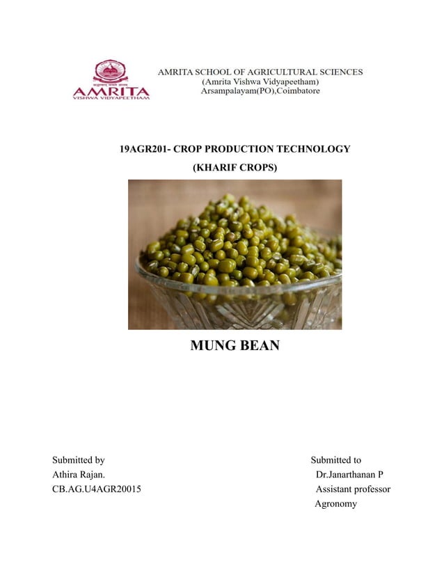 MUNG BEAN.pdf