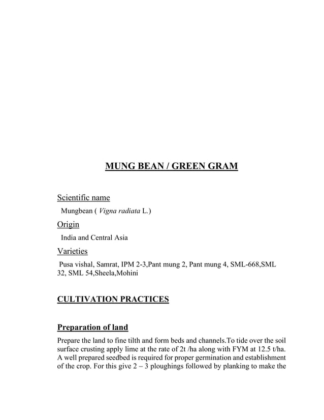 MUNG BEAN.pdf