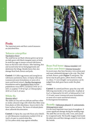 Mungbean-seed-production_South-Asia.pdfj