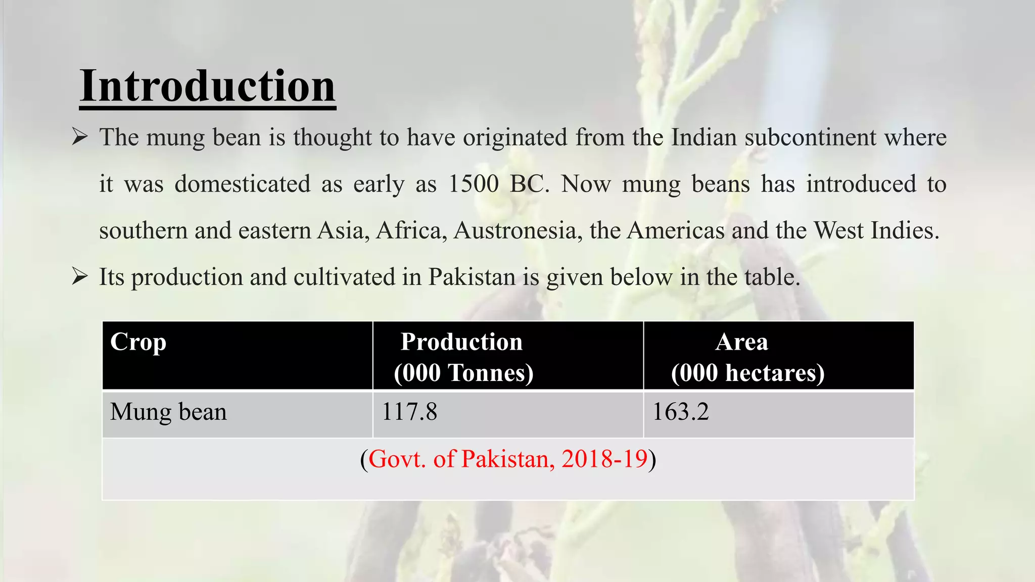 Mung bean ppt | PPTX