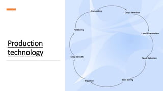 Mung bean ppt | PPTX
