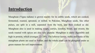Mung bean ppt | PPTX