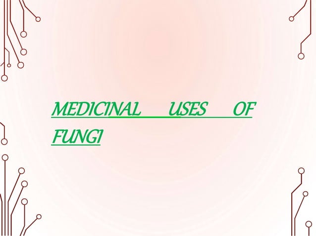medicinal uses of fungi | PPT