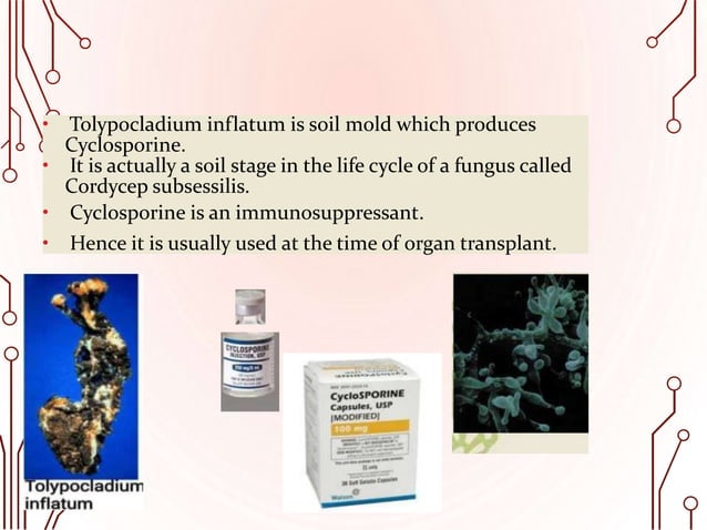medicinal uses of fungi | PPT
