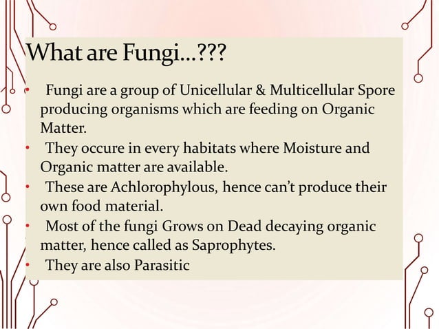 medicinal uses of fungi | PPT