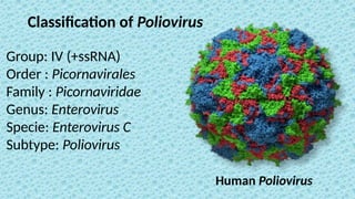 Introduction to the Polio Virus (Virology).pptx