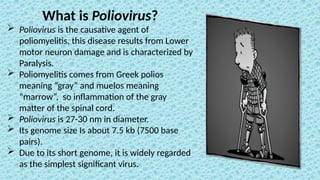Introduction to the Polio Virus (Virology).pptx
