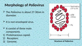 Introduction to the Polio Virus (Virology).pptx