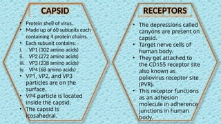 Introduction to the Polio Virus (Virology).pptx