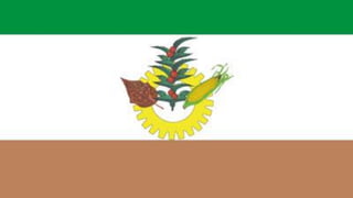 Municipio de Danlí | PDF
