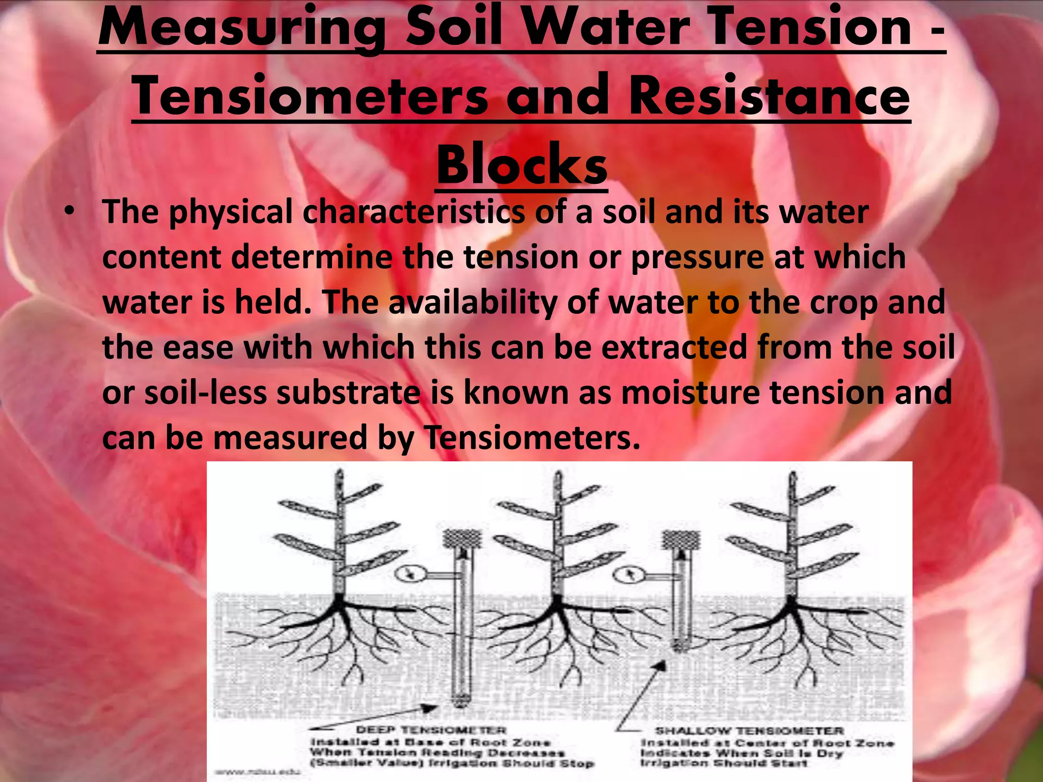 Water Management in Horticultural Crops | PPTX