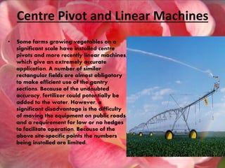 Water Management in Horticultural Crops | PPTX