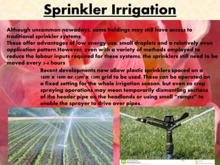 Water Management in Horticultural Crops | PPTX