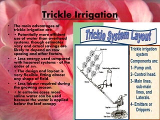 Water Management in Horticultural Crops | PPTX | Water Services | Home ...