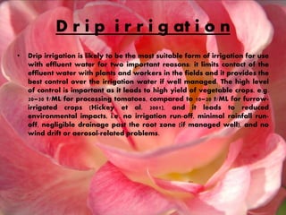 Water Management in Horticultural Crops | PPTX