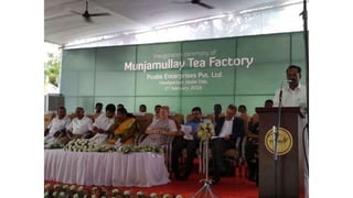 NEW MUNJAMULLAY TEA FACTORY | PPTX