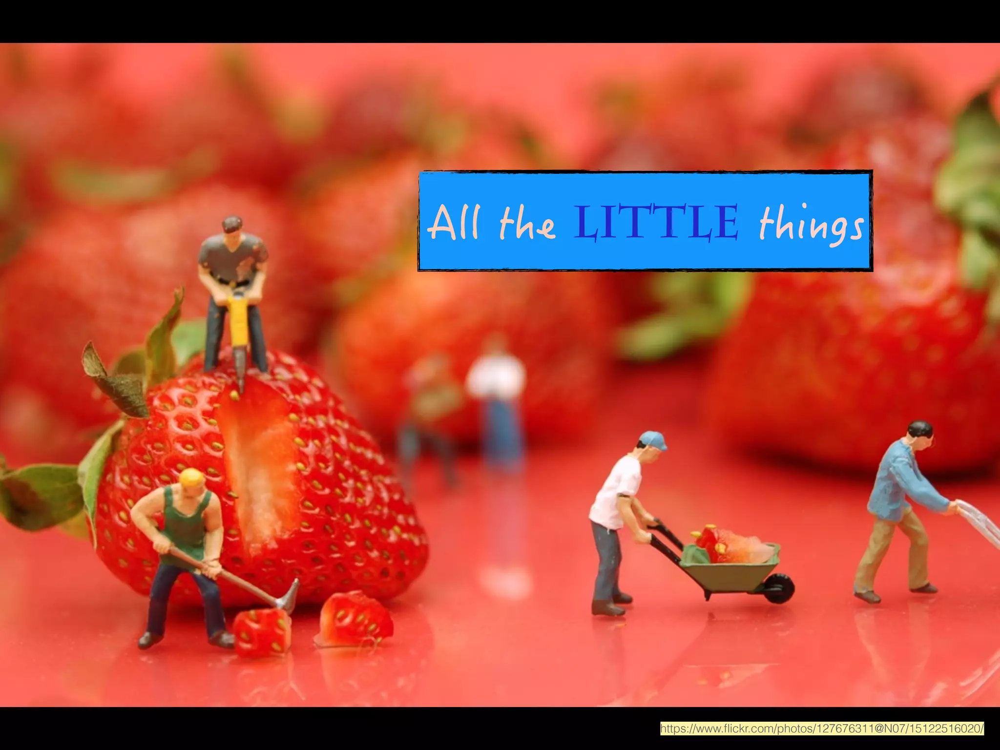 Munkhbold Urangoo PPP Final | PDF