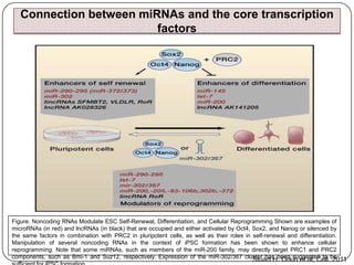 CELLULAR REPROGRAMMING: Current Technology, Perspectives and Generation ...