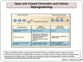 CELLULAR REPROGRAMMING: Current Technology, Perspectives and Generation ...
