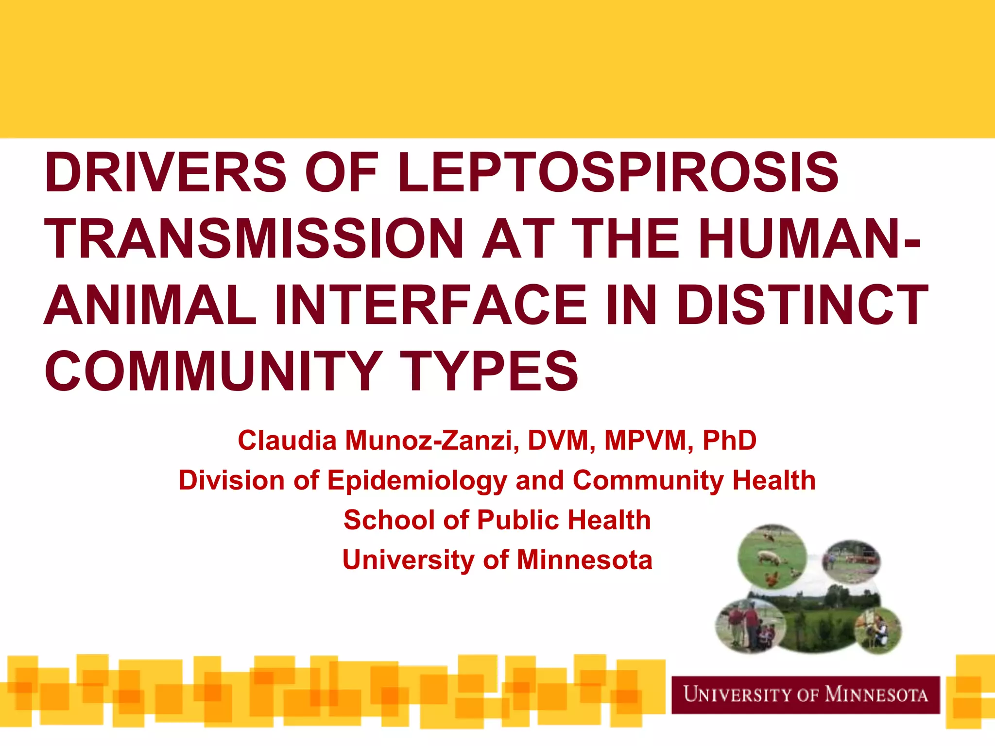 Drivers of Leptospirosis Transmission at the Human-Animal Interface in ...