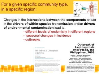 Drivers of Leptospirosis Transmission at the Human-Animal Interface in Distinct Community Types ...
