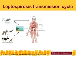 Drivers of Leptospirosis Transmission at the Human-Animal Interface in Distinct Community Types ...
