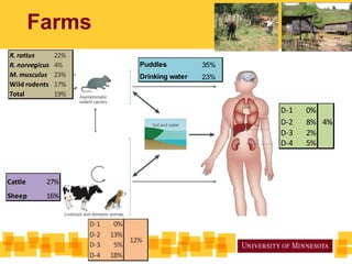 Drivers of Leptospirosis Transmission at the Human-Animal Interface in Distinct Community Types ...