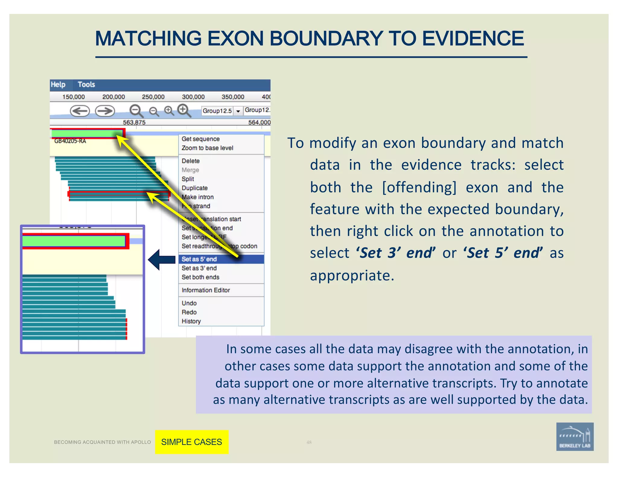 Apollo Collaborative genome annotation editing | PPT