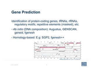Web Apollo Tutorial for Medfly Research Community | PDF