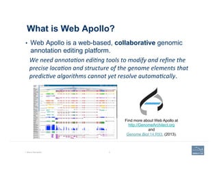 Web Apollo Tutorial for Medfly Research Community | PDF