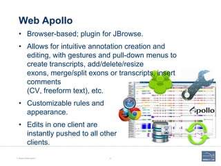 Introduction to Web Apollo for the i5K pilot species. | PPT