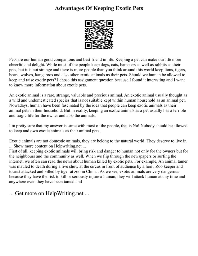 Mun Position Paper Format Example Model United N | PDF