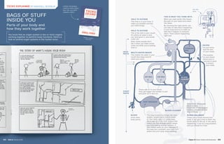 Thing Explainer | PDF | Physics | Science