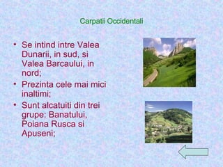 Muntii Carpati | PPT