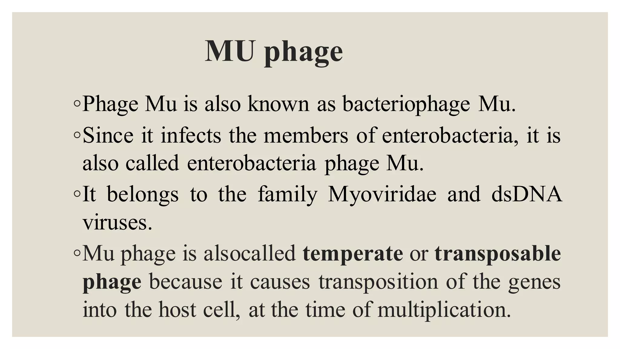MU phage.pdf