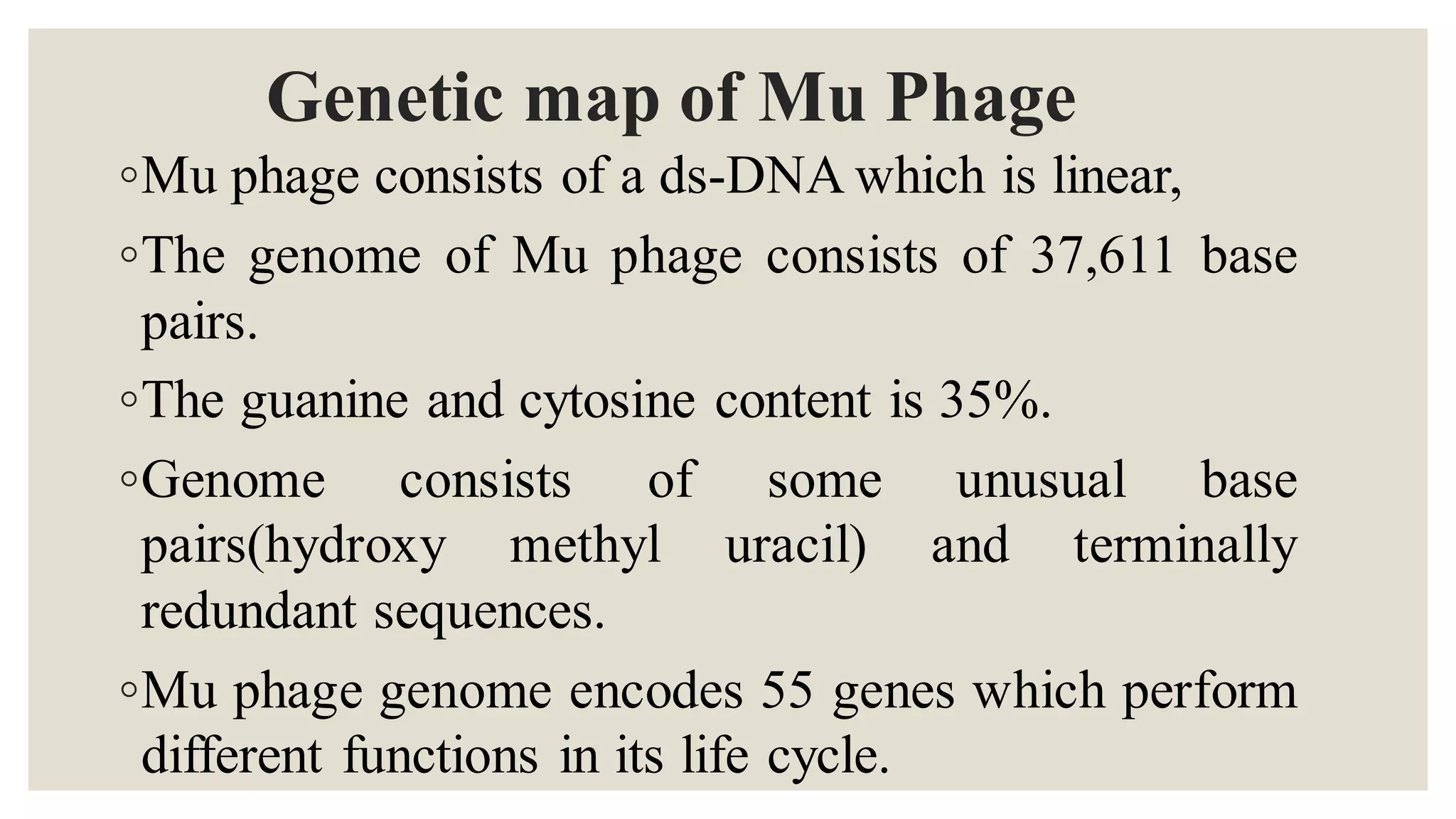 MU phage.pdf