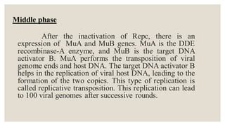 MU phage.pdf
