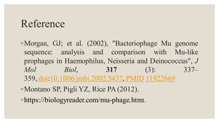 MU phage.pdf