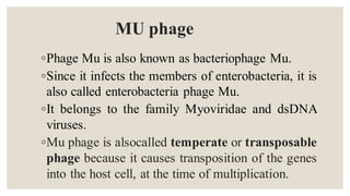 MU phage.pdf