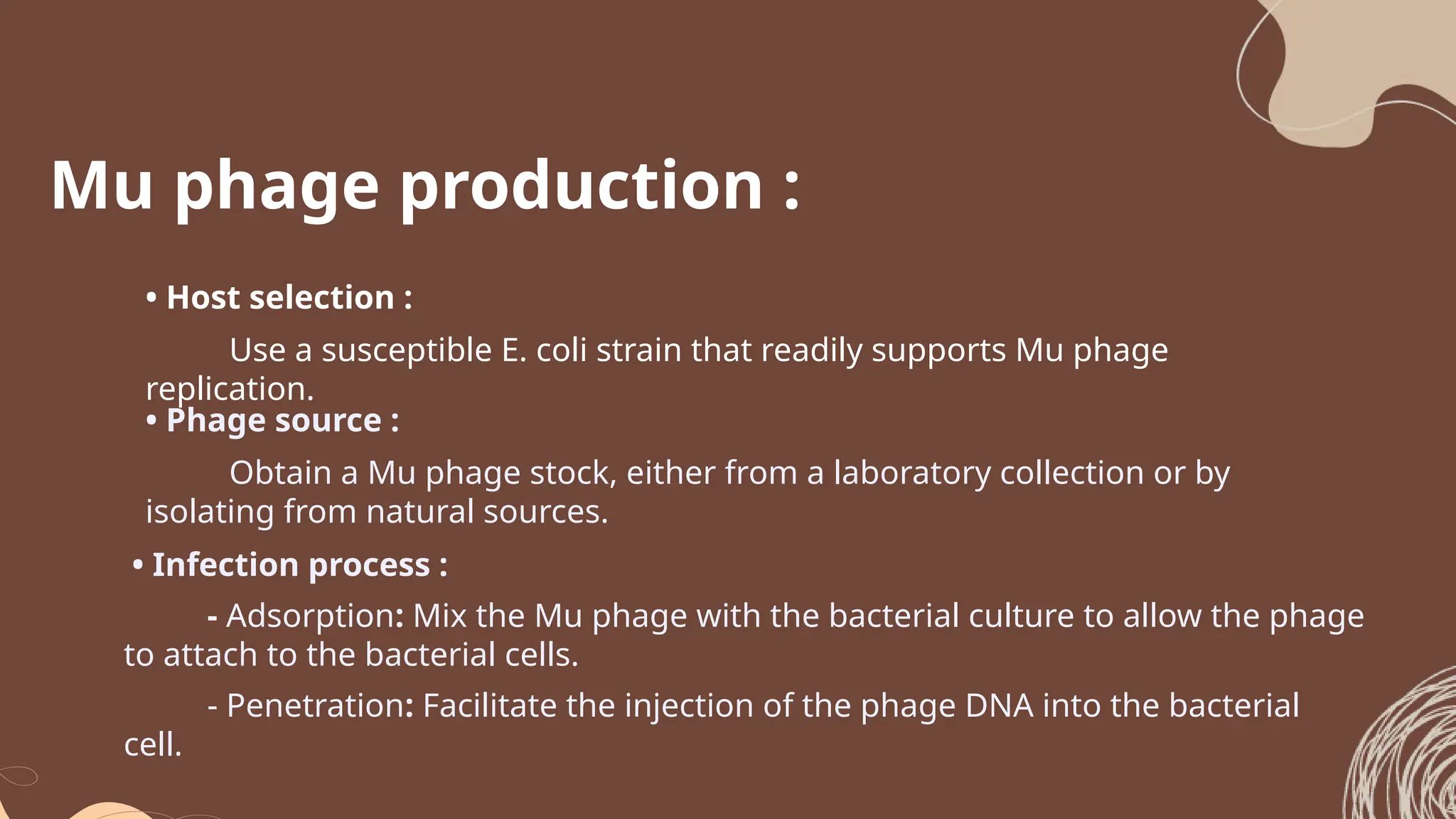 Mu phage - Introduction, Structure,life cycle and Production | PPTX