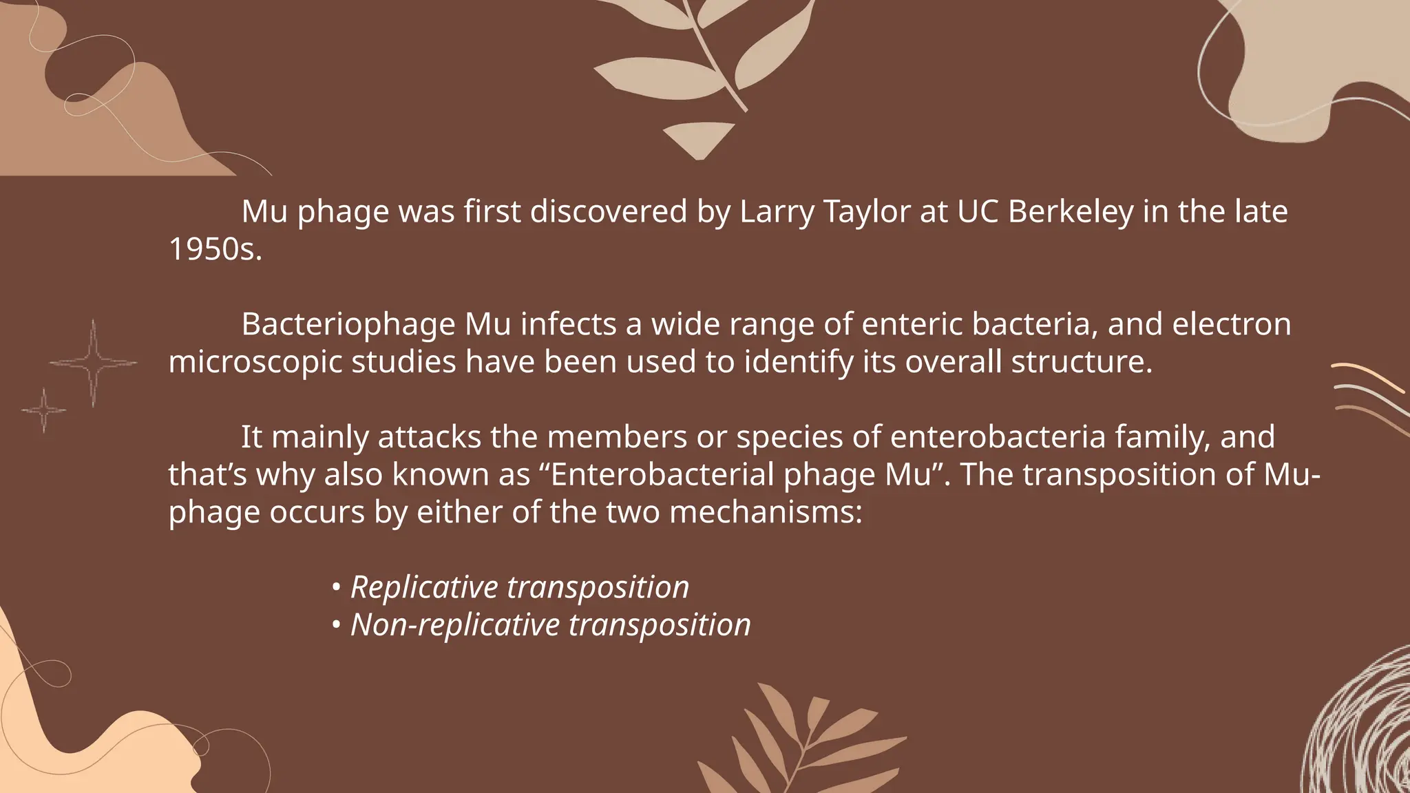 Mu phage - Introduction, Structure,life cycle and Production | PPTX
