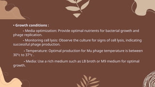 Mu phage - Introduction, Structure,life cycle and Production | PPTX