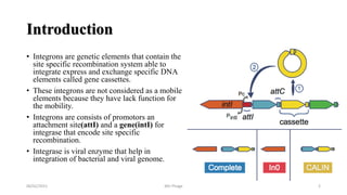 Mu phage | PPTX
